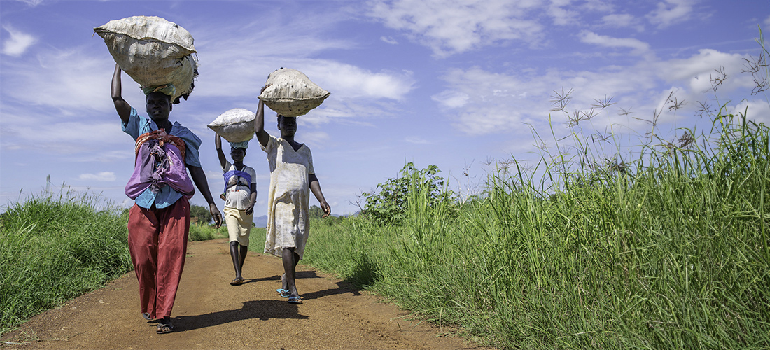 Event Agrifood Systems Transformation To Achieve Global Climate And